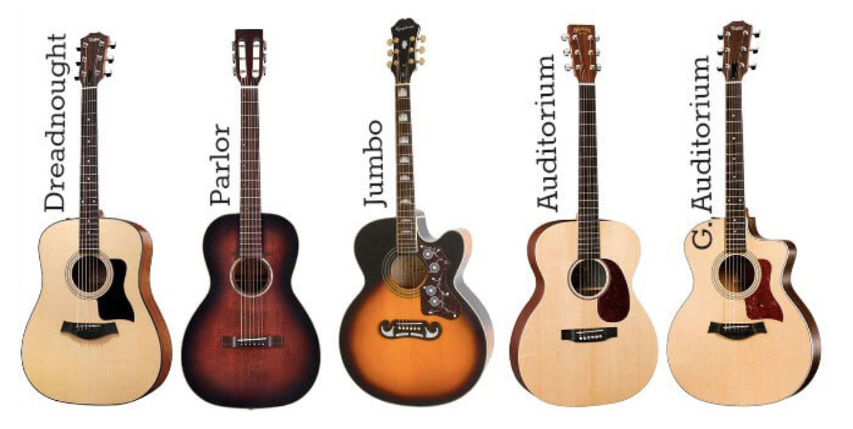 Budowa gitary akustycznej – poznaj wszystkie elementy!