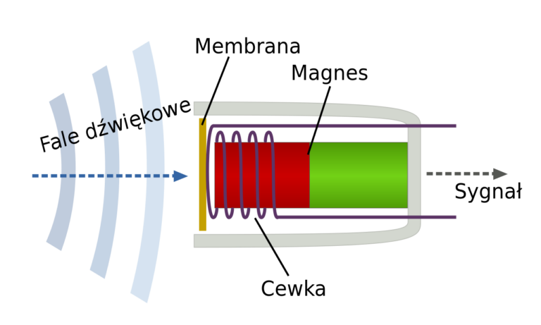 Budowa mikrofonu – zobacz, jak działa!